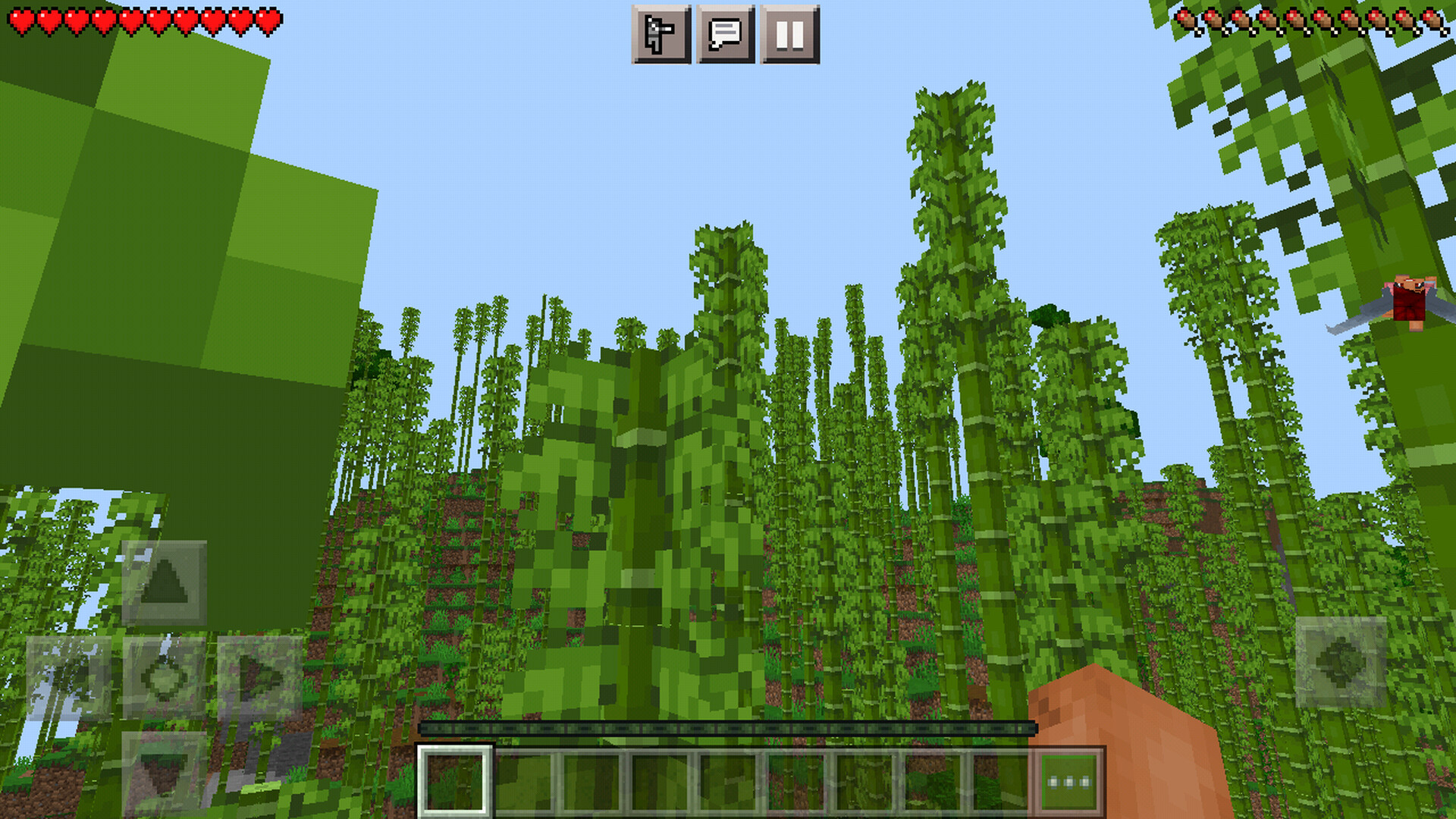 Player Render Hud Minecraft Mod