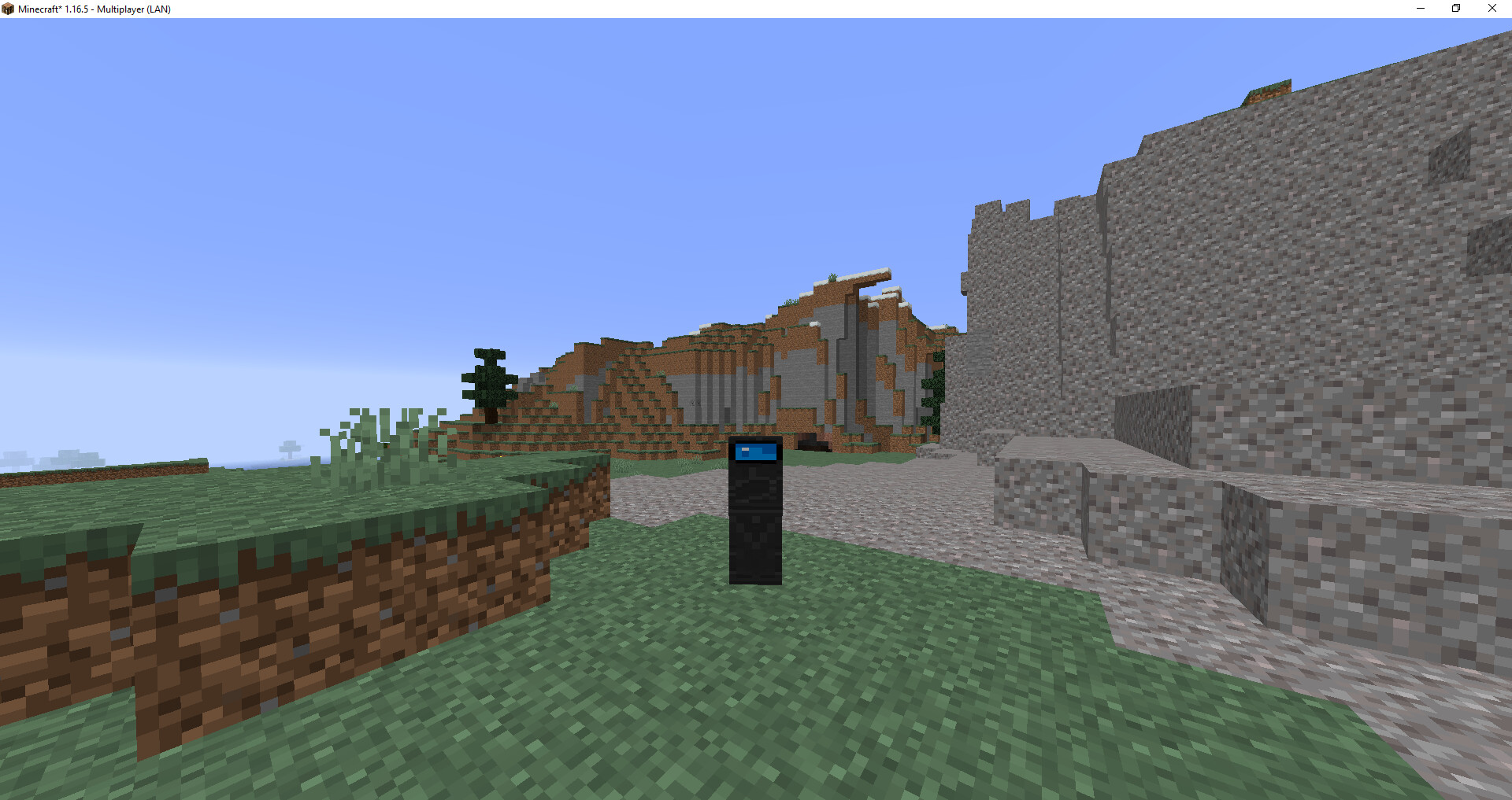 Netherite Dragon Mod+Other Netherite Mobs Minecraft Mod