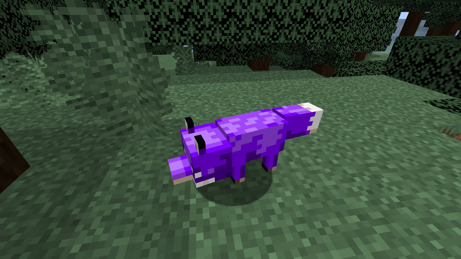 More Foxes Minecraft Mod