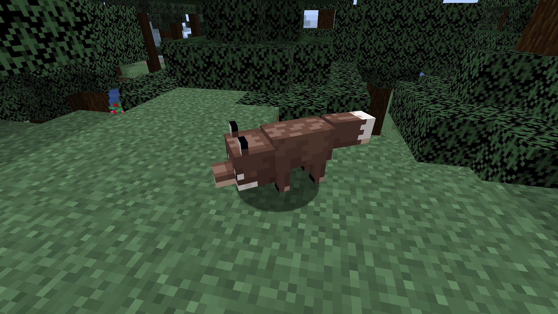 More Foxes Minecraft Mod