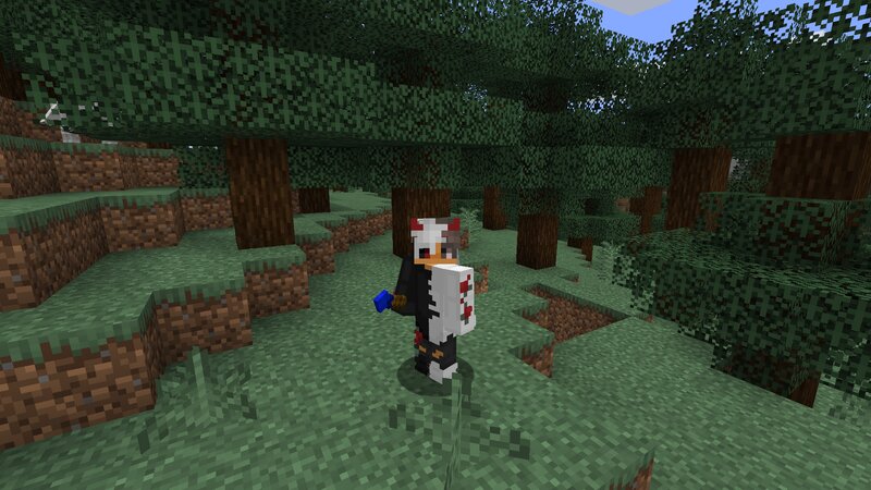 Random Items Minecraft Mod