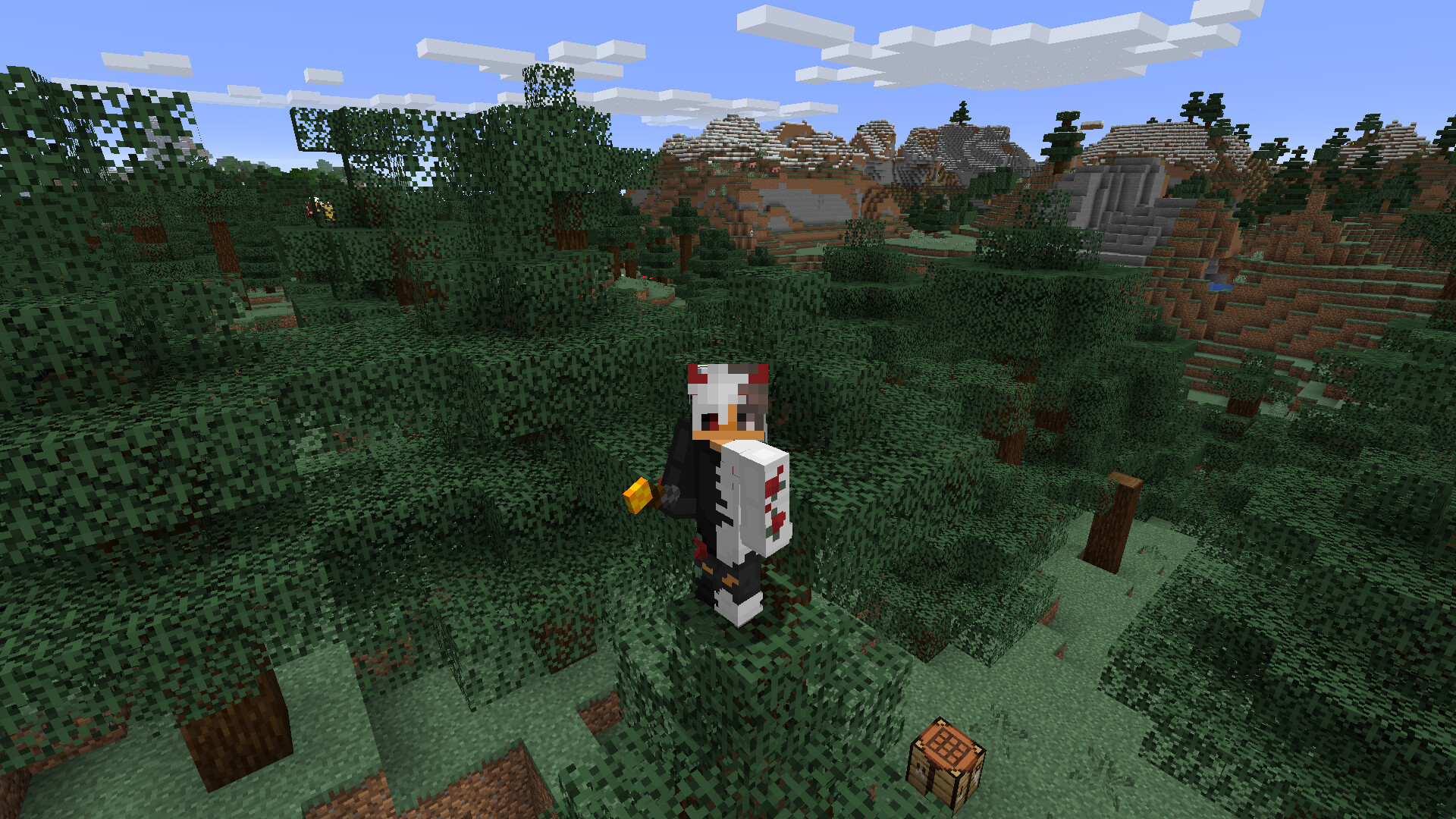 Random Items Minecraft Mod