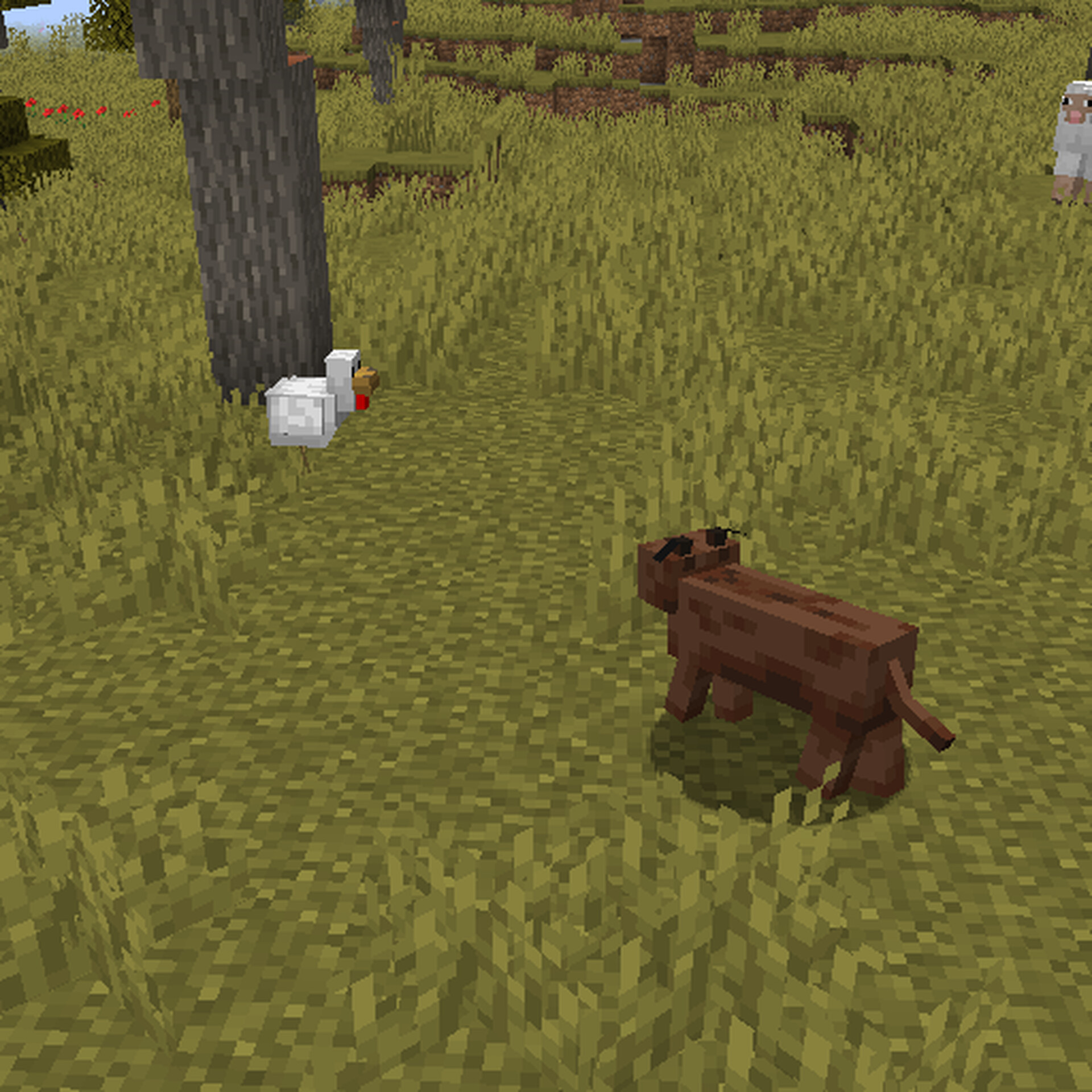 Caracal Mod! Minecraft Mod