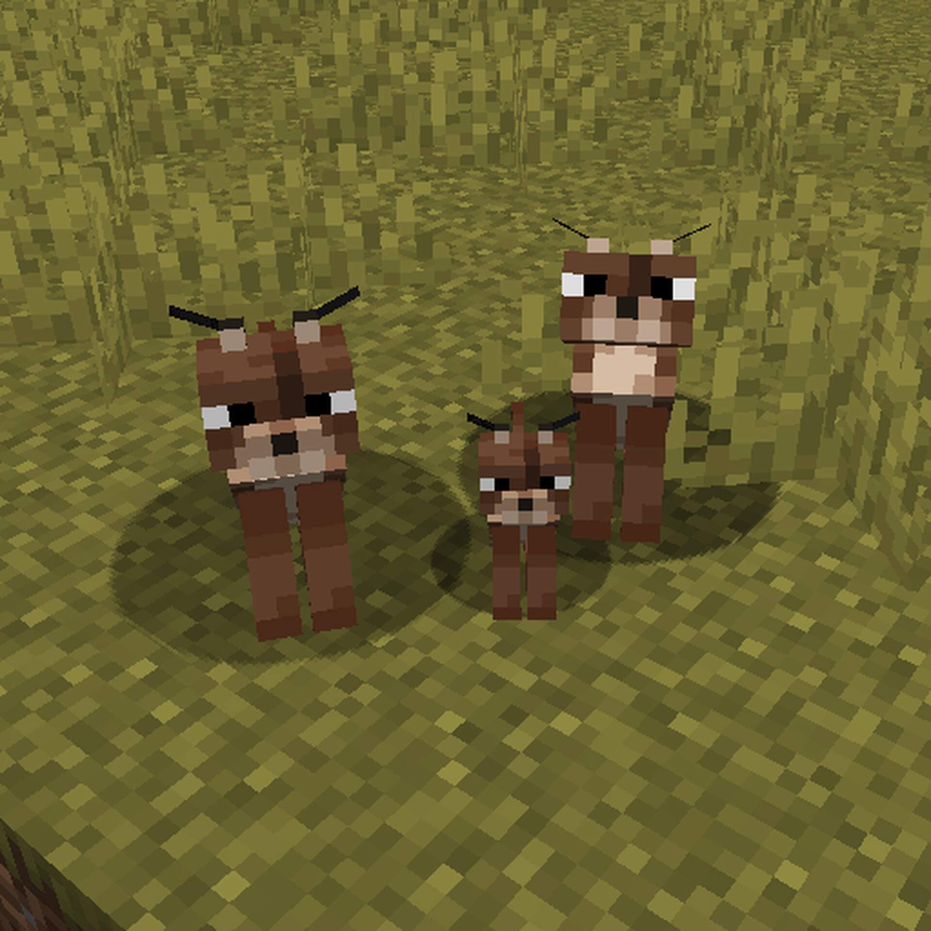 Caracal Mod! Minecraft Mod