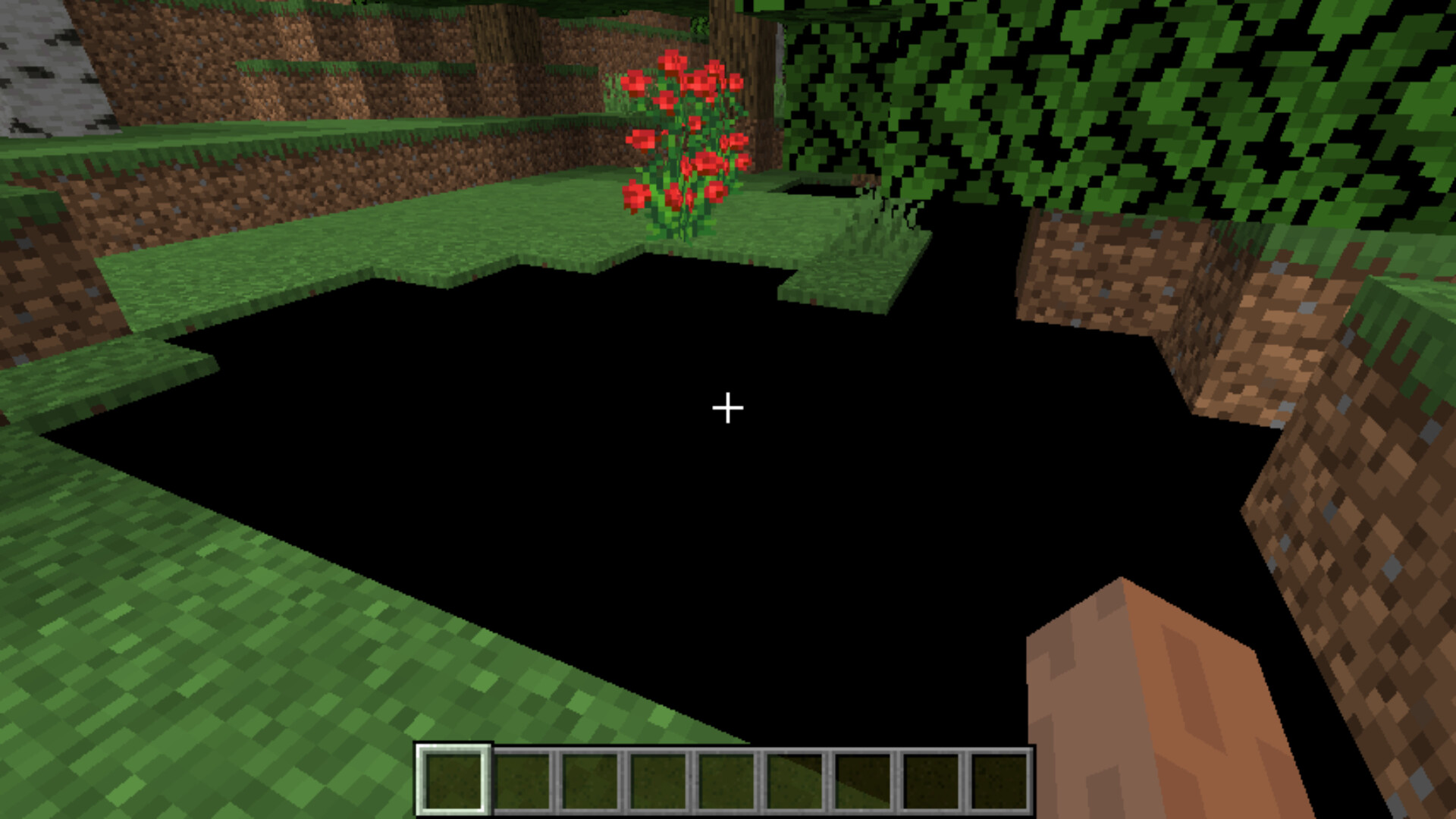 NONE Mod Minecraft Mod