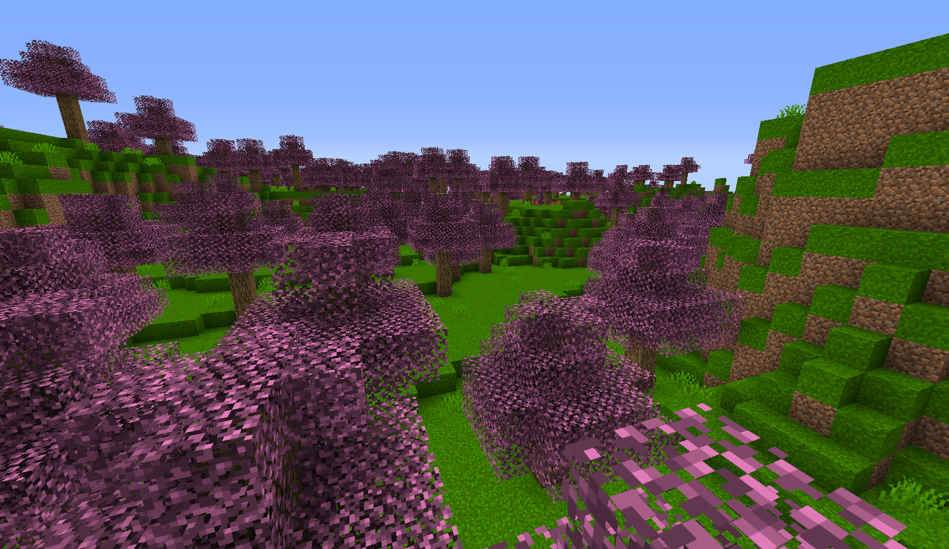 Cherry Blossom Forest[FORGE] Minecraft Mod