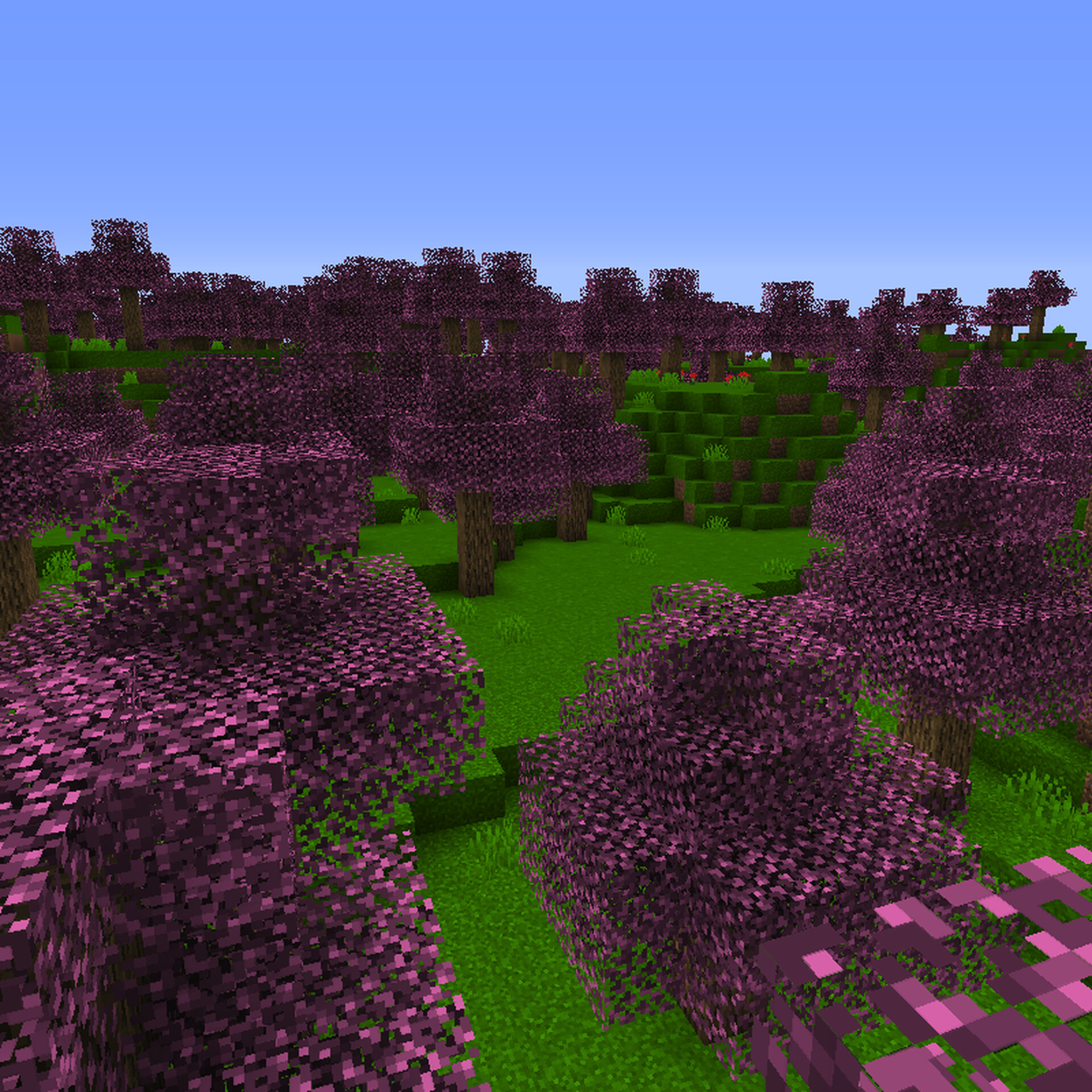 Cherry Blossom Forest[FORGE] Minecraft Mod