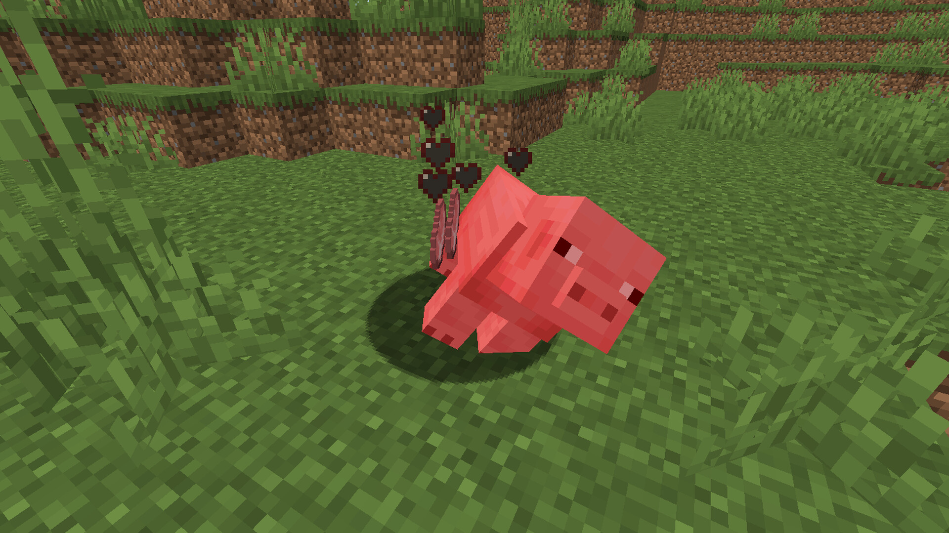 helper mod Minecraft Mod