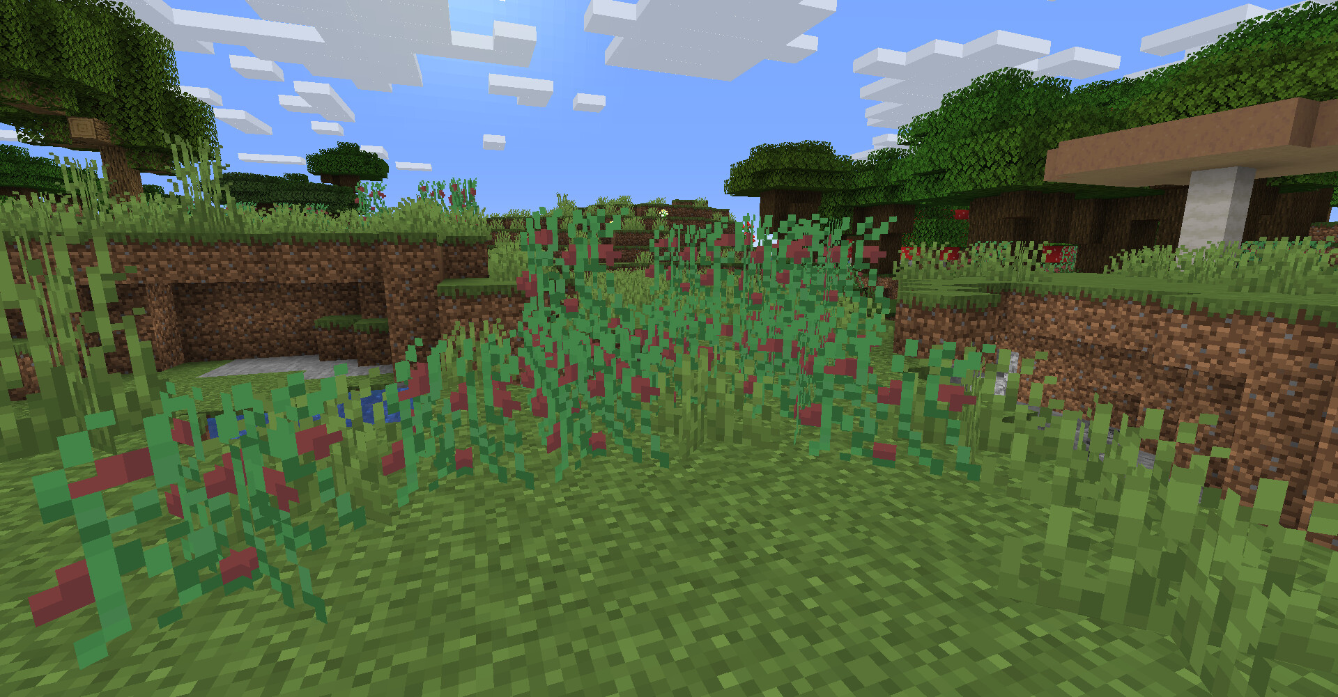 THE BEST HAMSTER MOD EVER Minecraft Mod