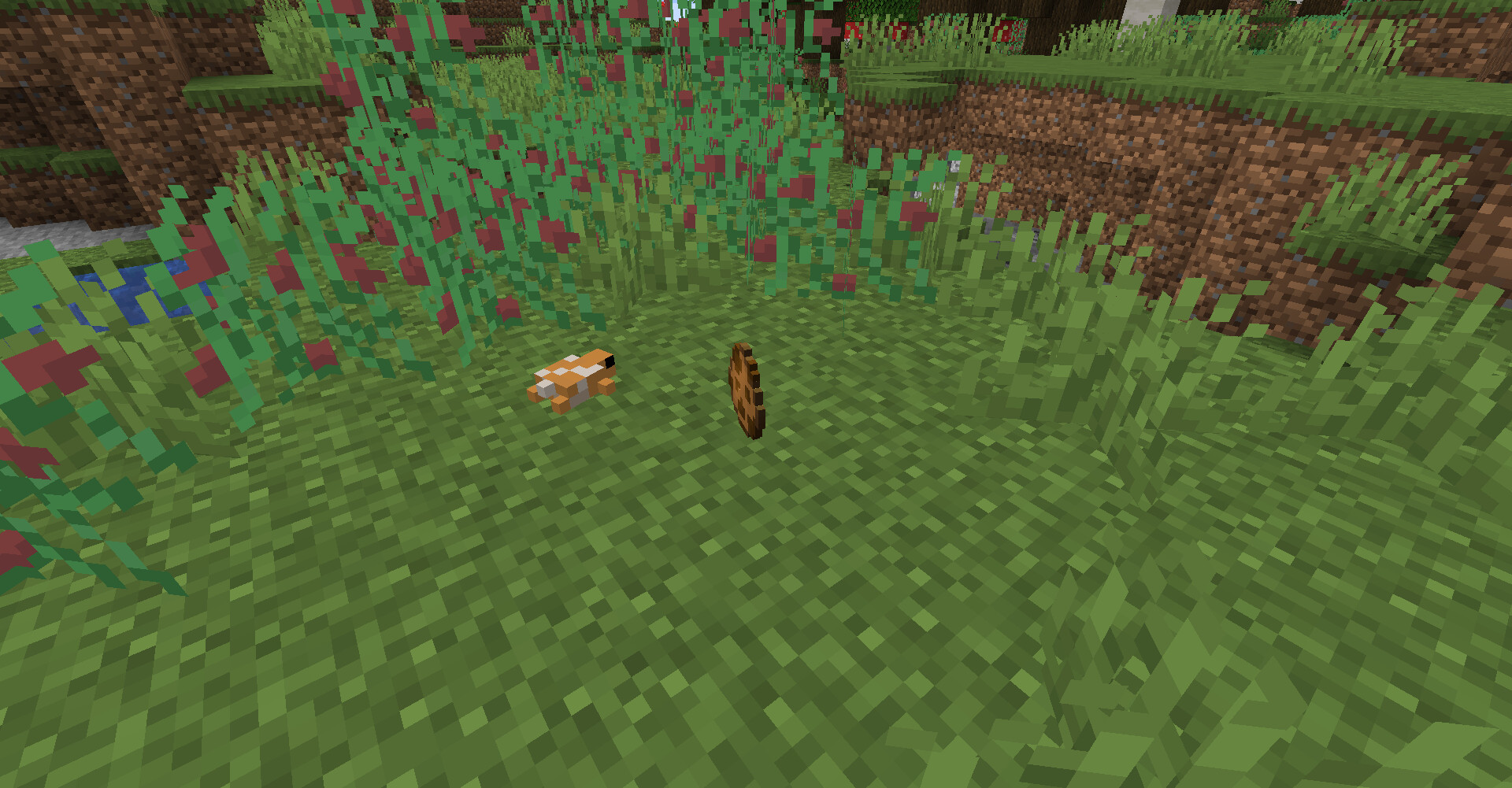 THE BEST HAMSTER MOD EVER Minecraft Mod