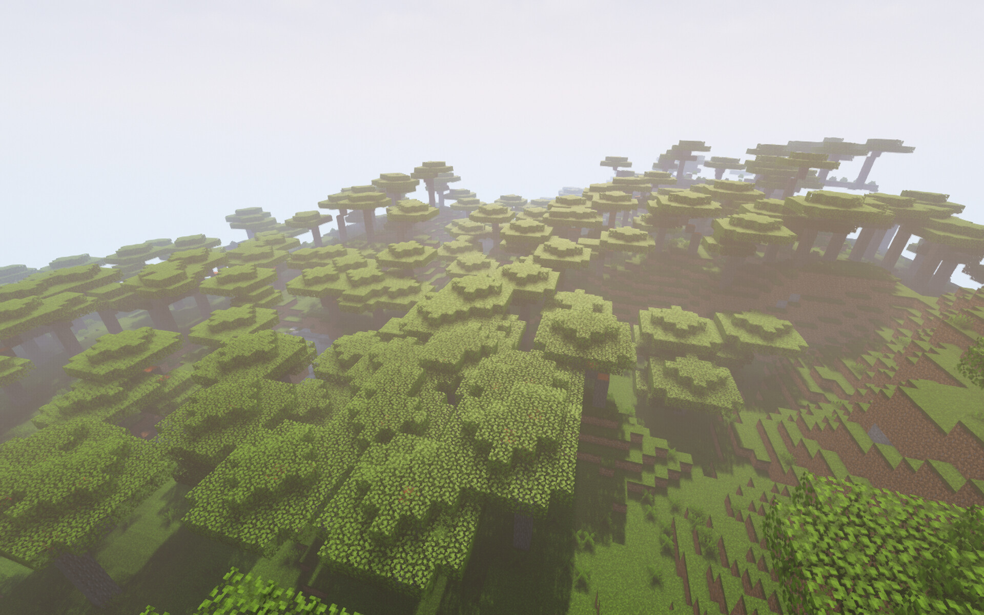 More Biomes (demo) 1.16.5 Minecraft Mod