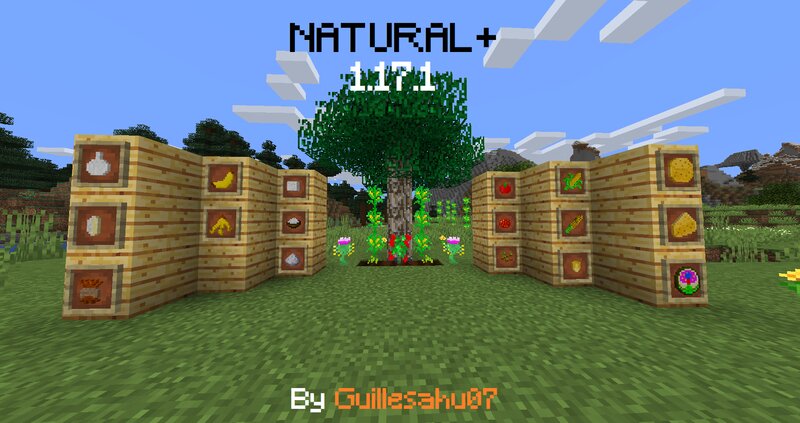 Natural+ 1.17.1 Minecraft Mod