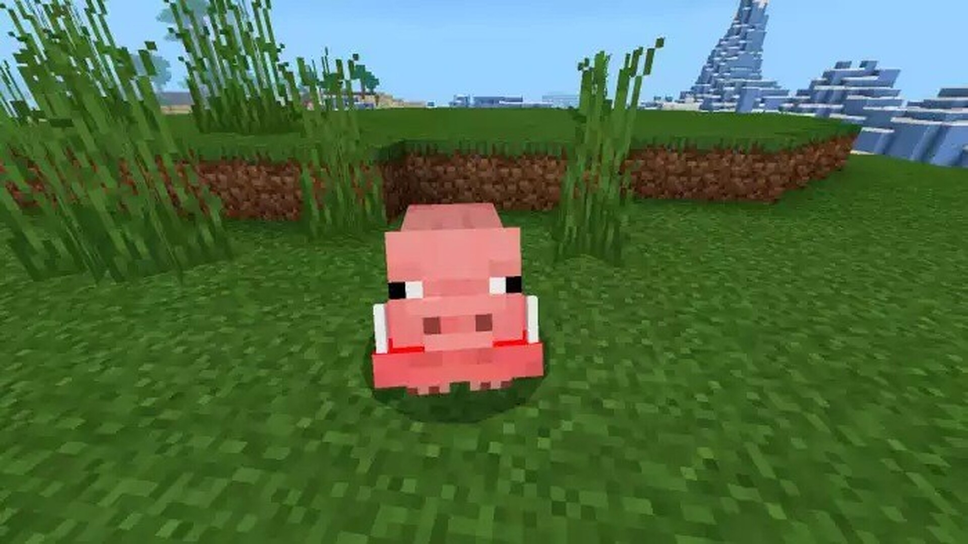Carnivorous animals mod [1.16]. Bedrock Edition. Minecraft Mod