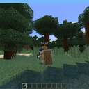 Lower Shield Addon for Minecraft Windows 10/Bedrock Edition 1.18 ...