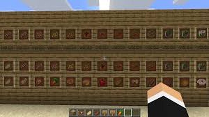 La terribile cucina di Fundy Minecraft Mod