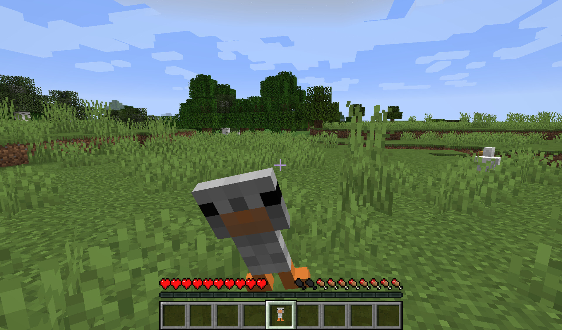 Infinit poule [1.16.5] Minecraft Mod