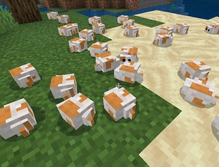 Hamster addon for mcpe (not for java) Minecraft Mod