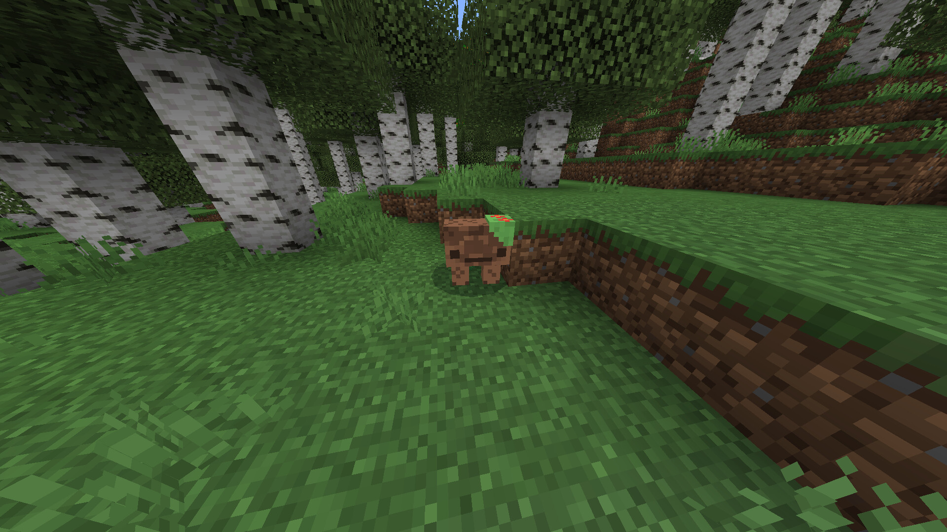 Birch Forest Mod Minecraft Mod