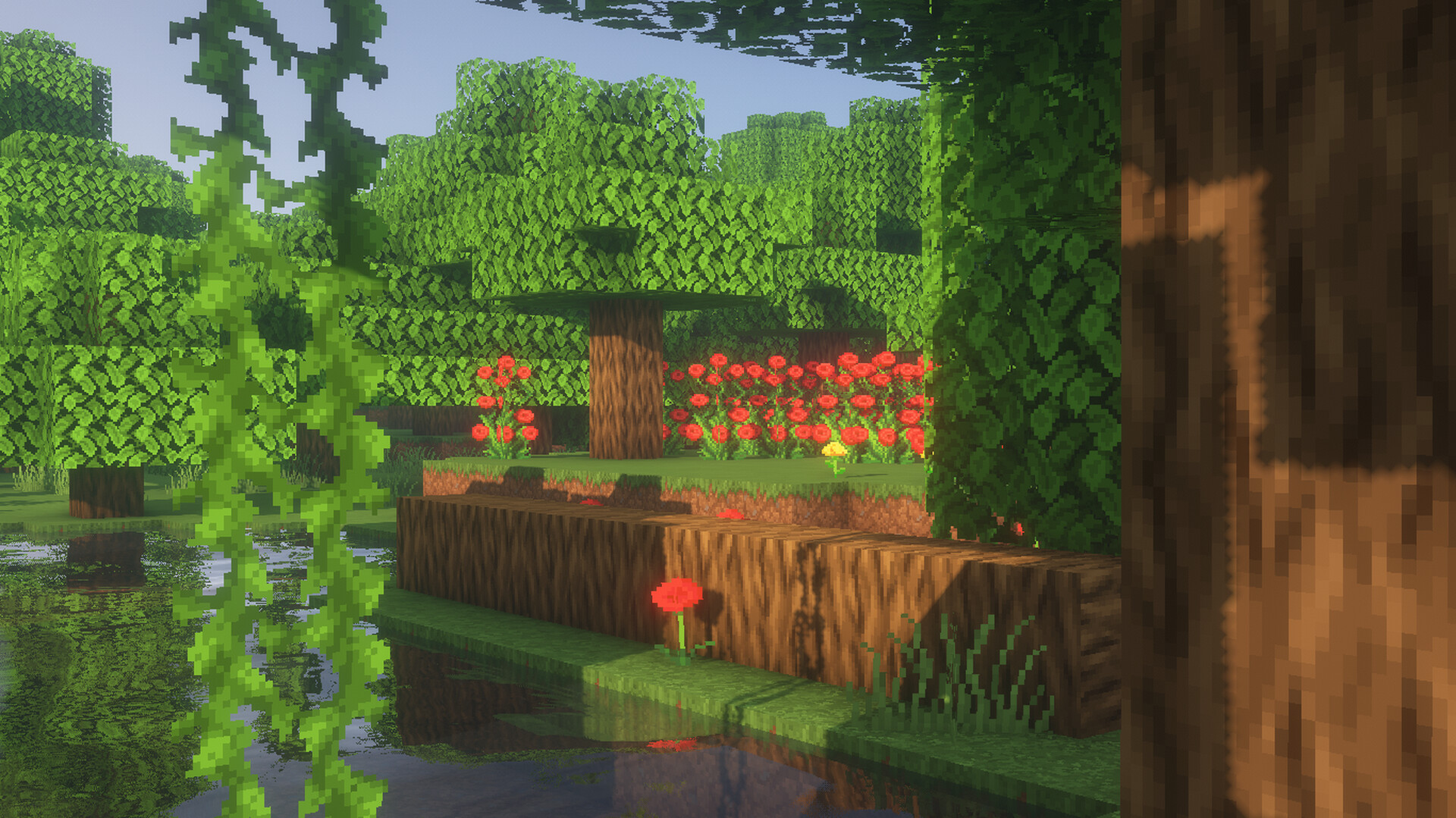 OAK++ | Makes Forests Feel Like New! Minecraft Mod