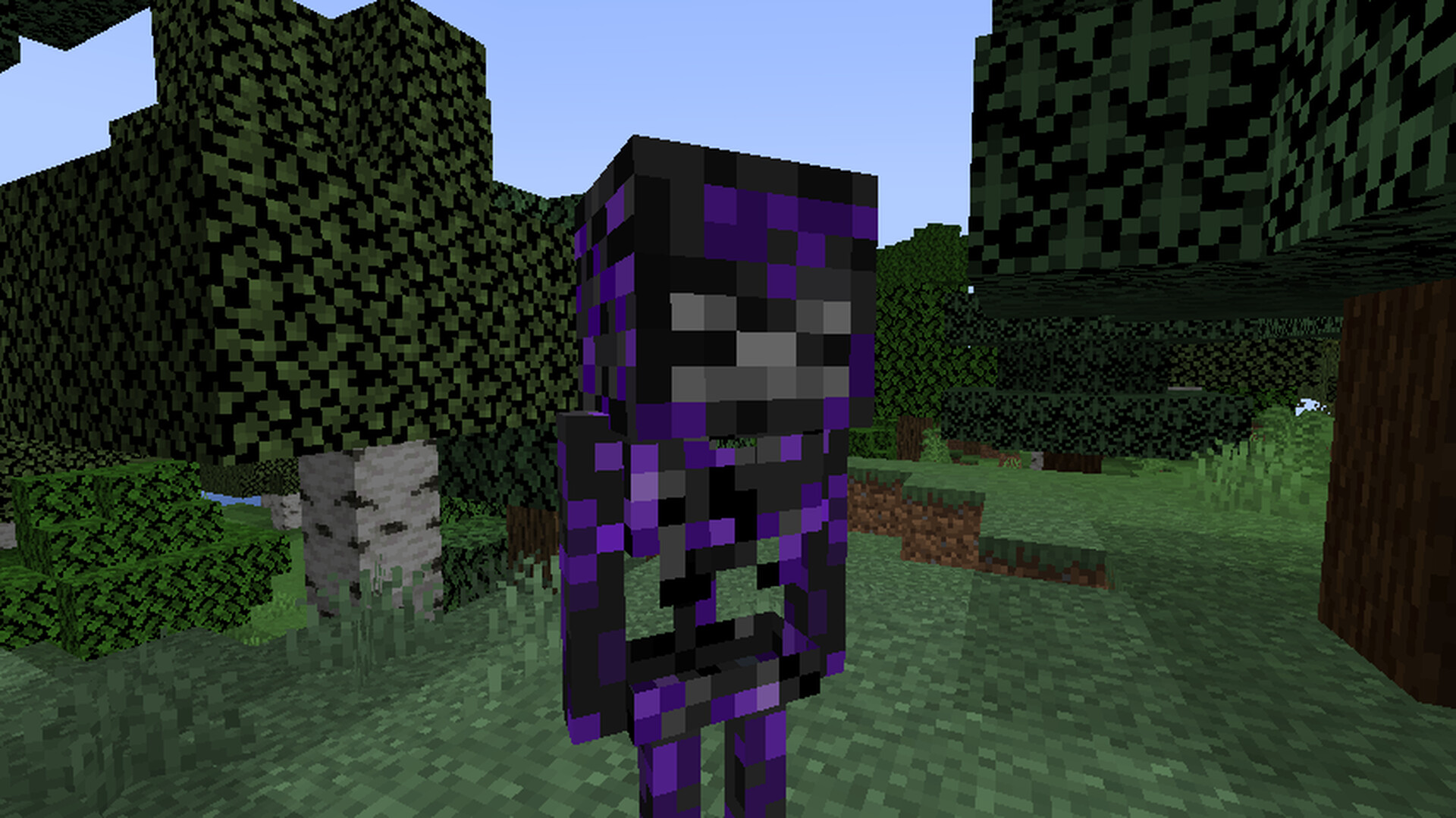 Nether Skeletons MOD Minecraft Mod