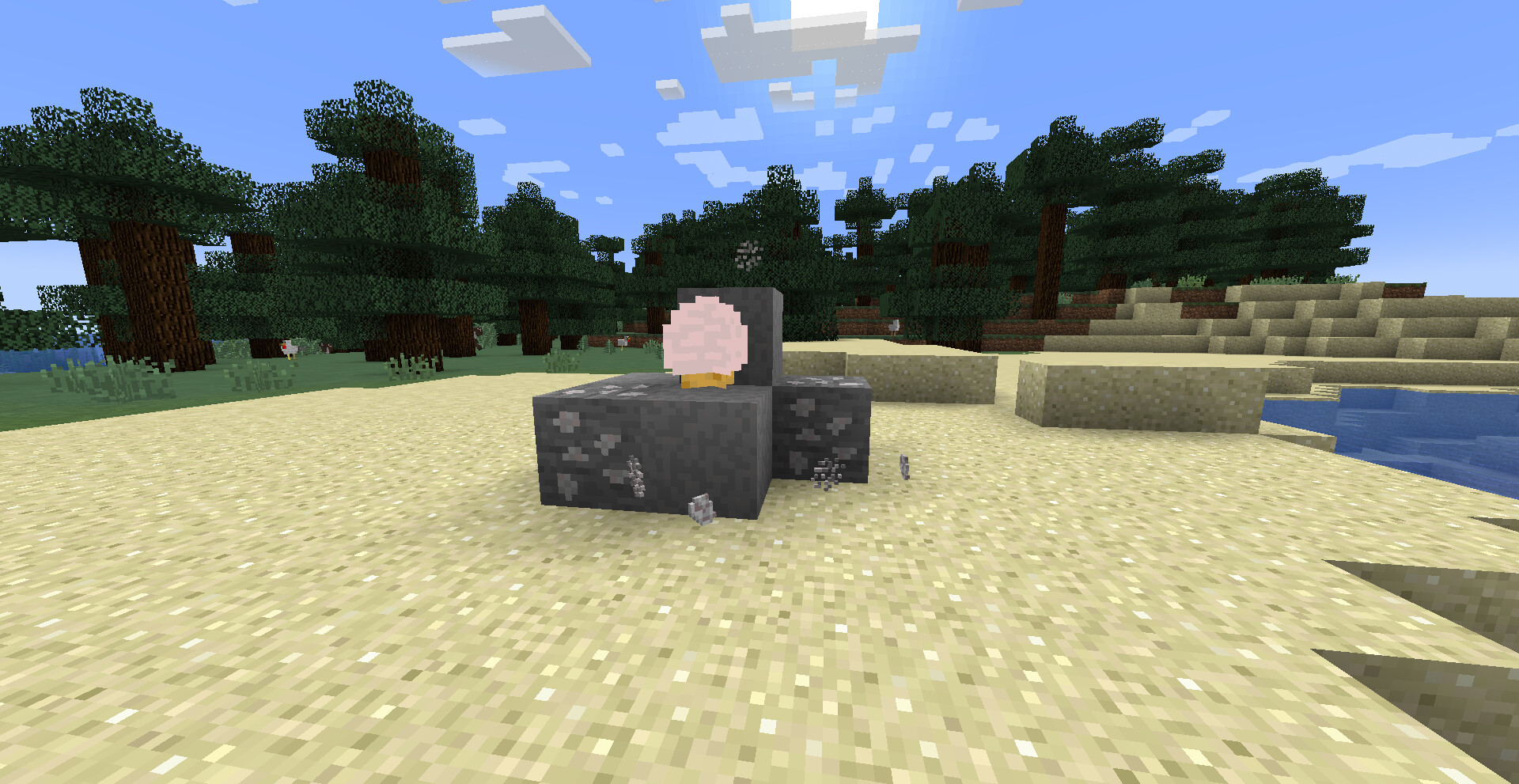 Salt and more! 1.18.2 (Forge) Minecraft Mod