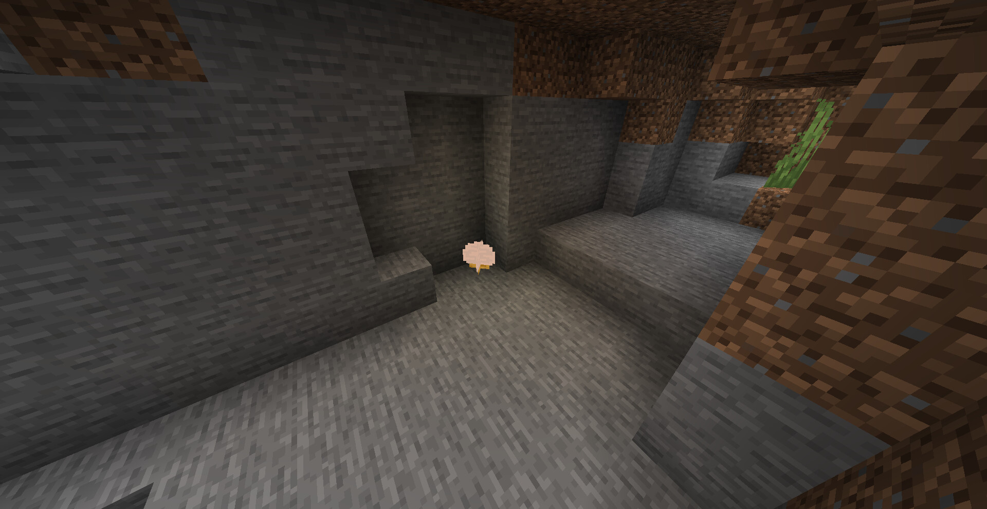 Salt and more! 1.18.2 (Forge) Minecraft Mod