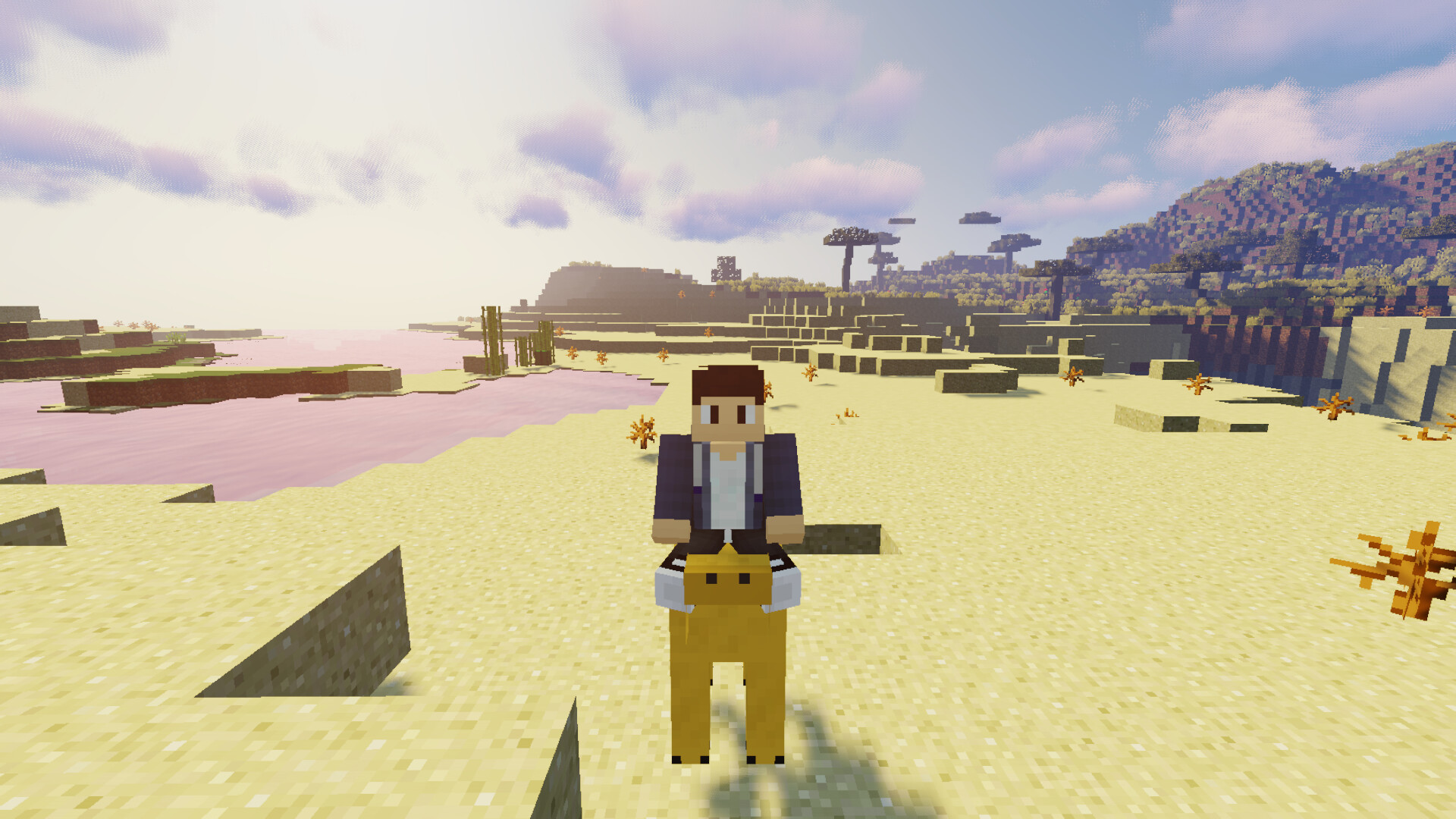 Marco Polos Expension 1.0 Minecraft Mod