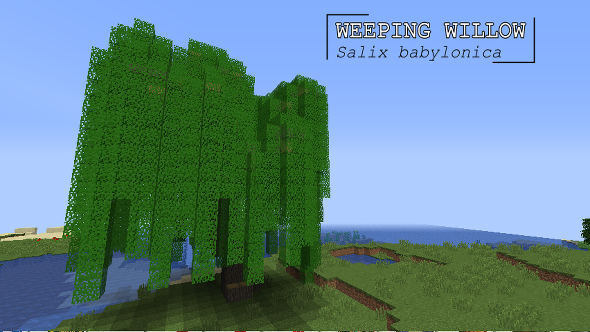 Trees 'O Fruits Minecraft Mod