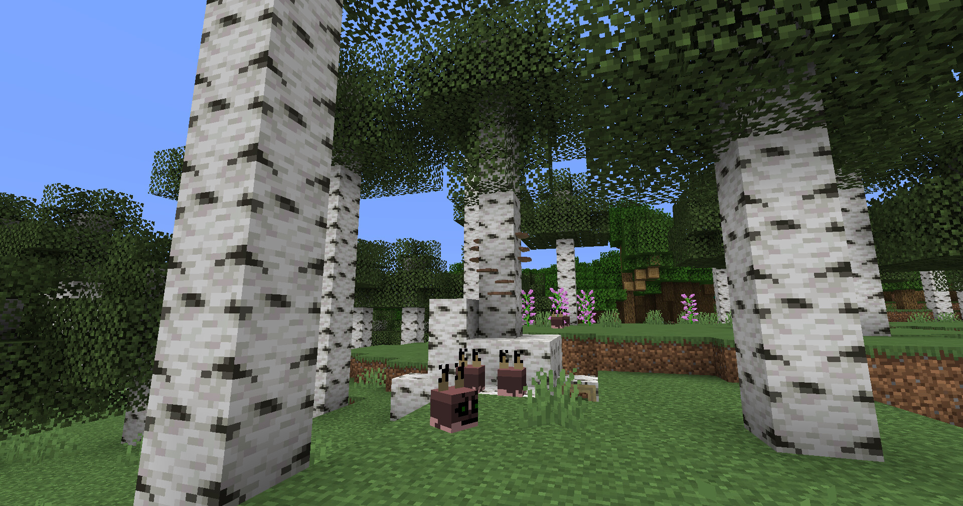 Dacchund's/Maccus's Suprises! Alpha Build 0.7 ADDS 1.19 BIRCH FORESTS ...
