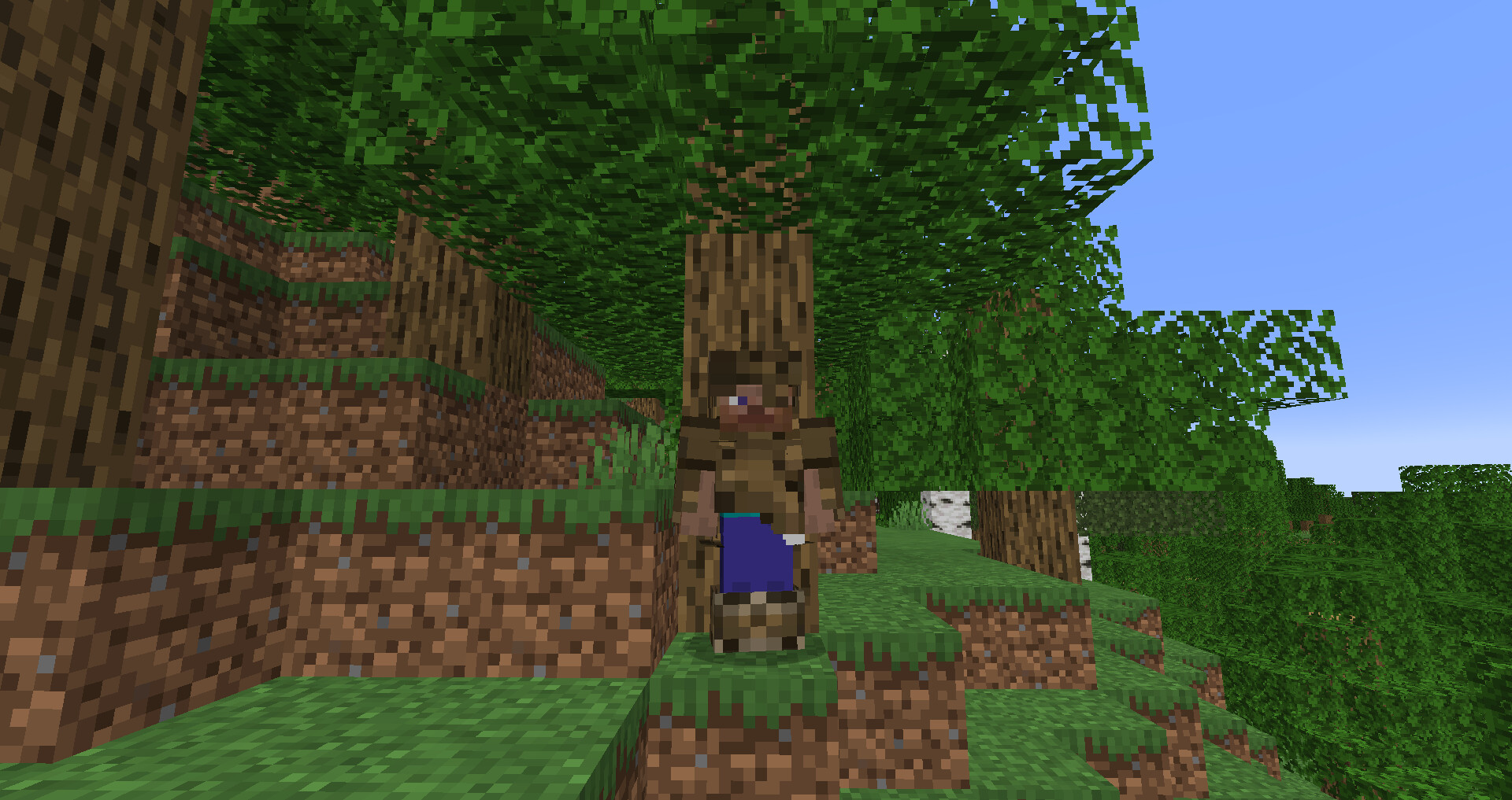 Minecraft - Forest Update Minecraft Mod