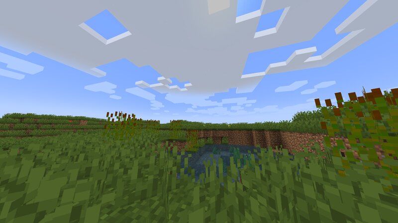 Realisticraft Minecraft Mod