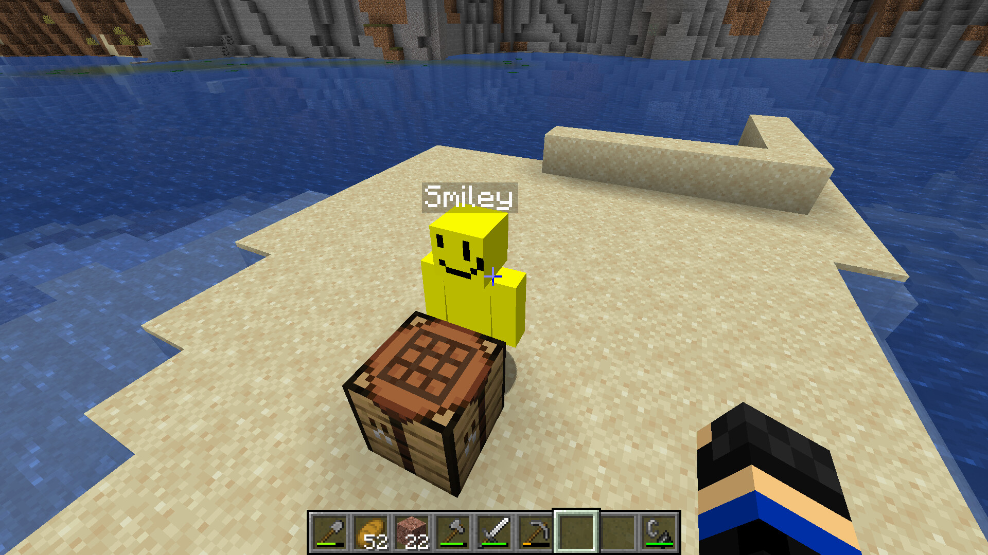 Smiley labs Minecraft Mod