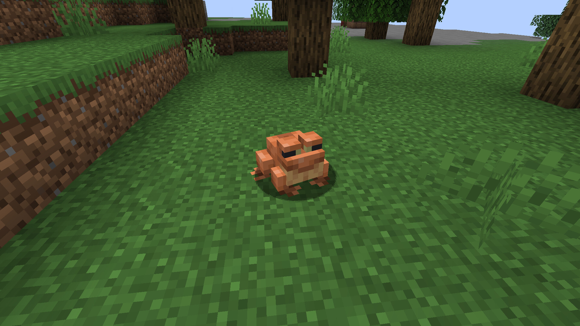 1.19.2 mod Minecraft Mod