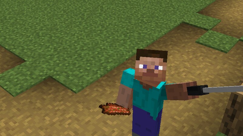 Selfie Cam Minecraft Mod