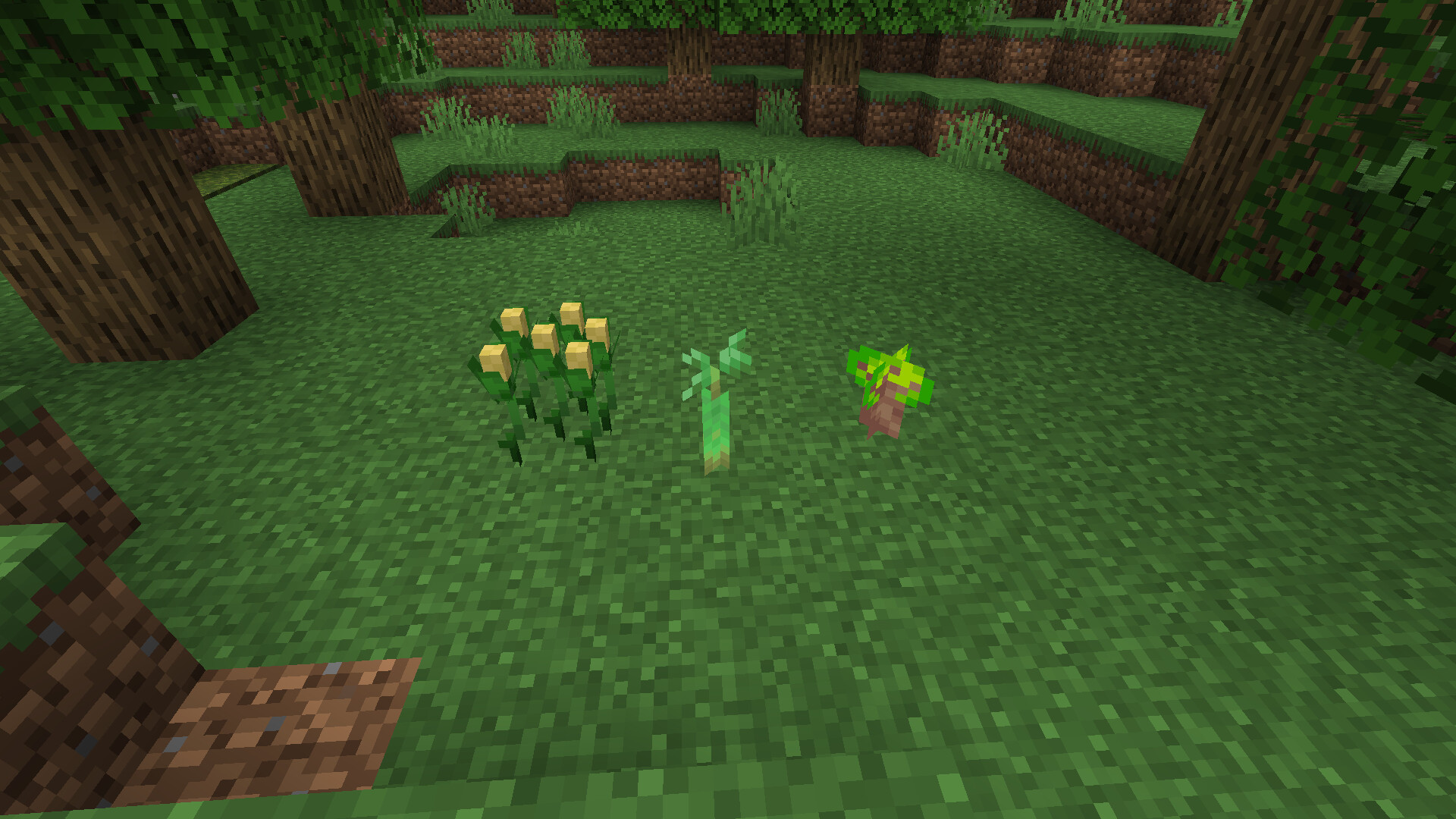 1.19.1 mod Minecraft Mod