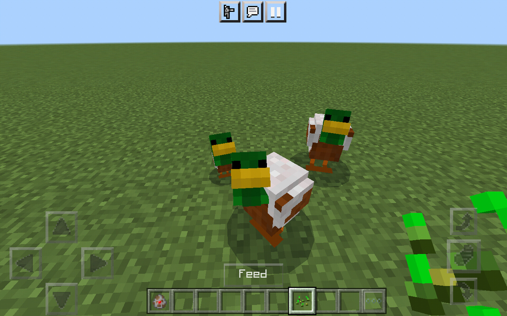 Duck Add-on by Darkmazeblox.[bedrock edition]. Minecraft Mod