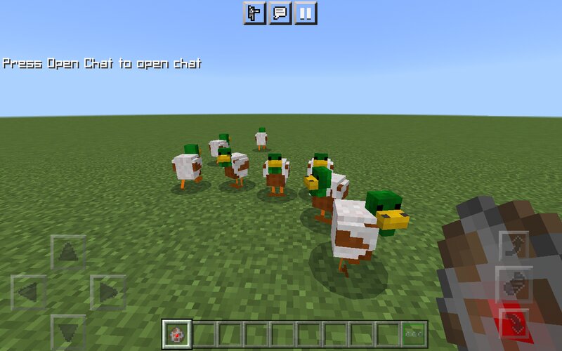 Duck Add-on by Darkmazeblox.[bedrock edition]. Minecraft Mod