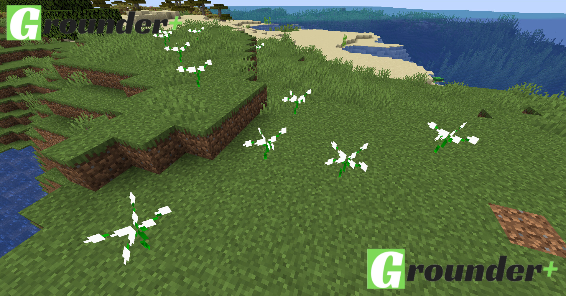 Grounder+ Minecraft Mod