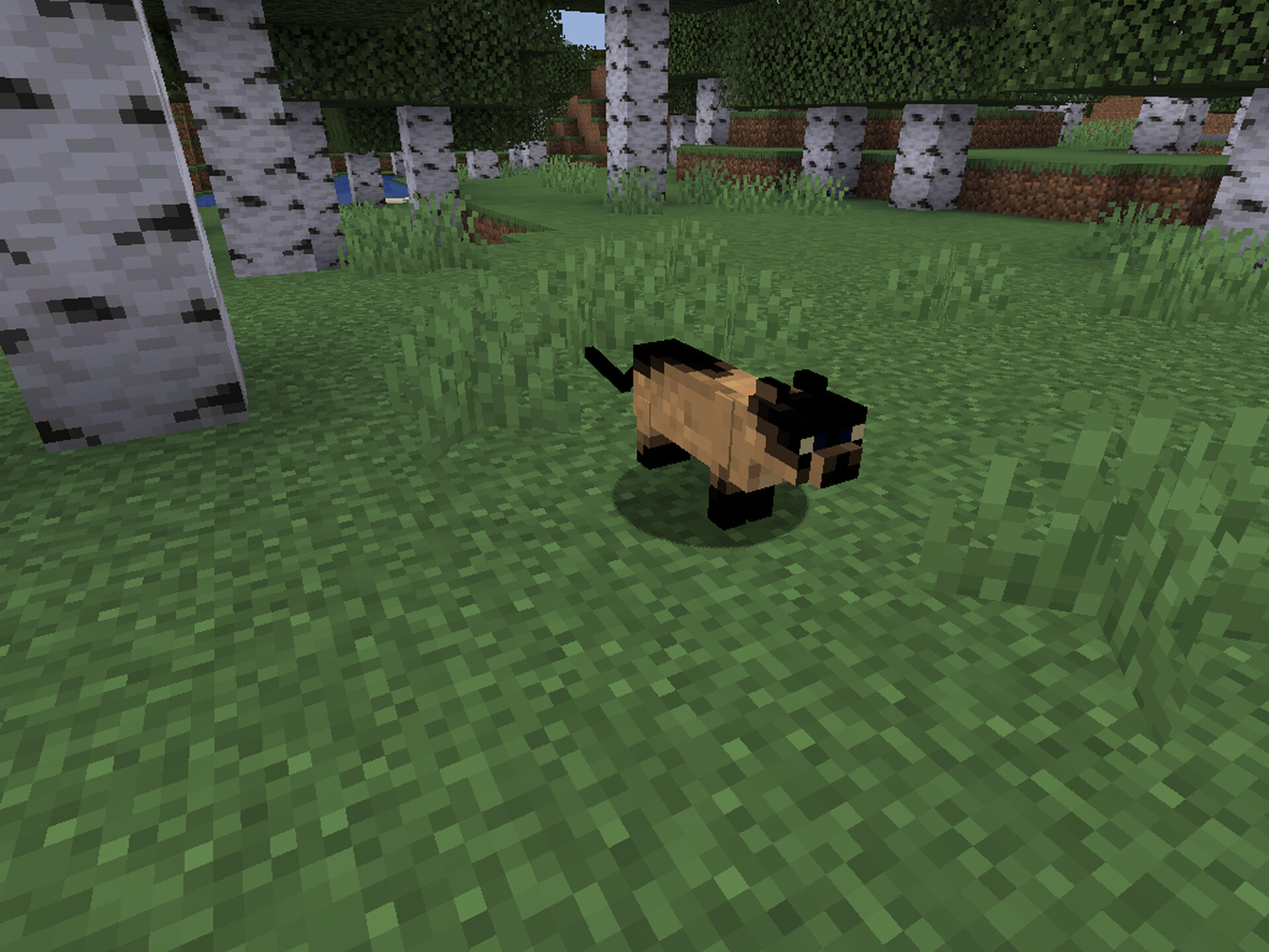 Felinos 1.16.5 Minecraft Mod