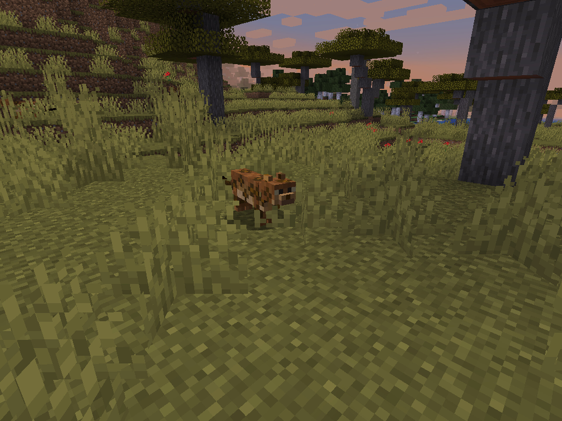 Felinos 1.16.5 Minecraft Mod