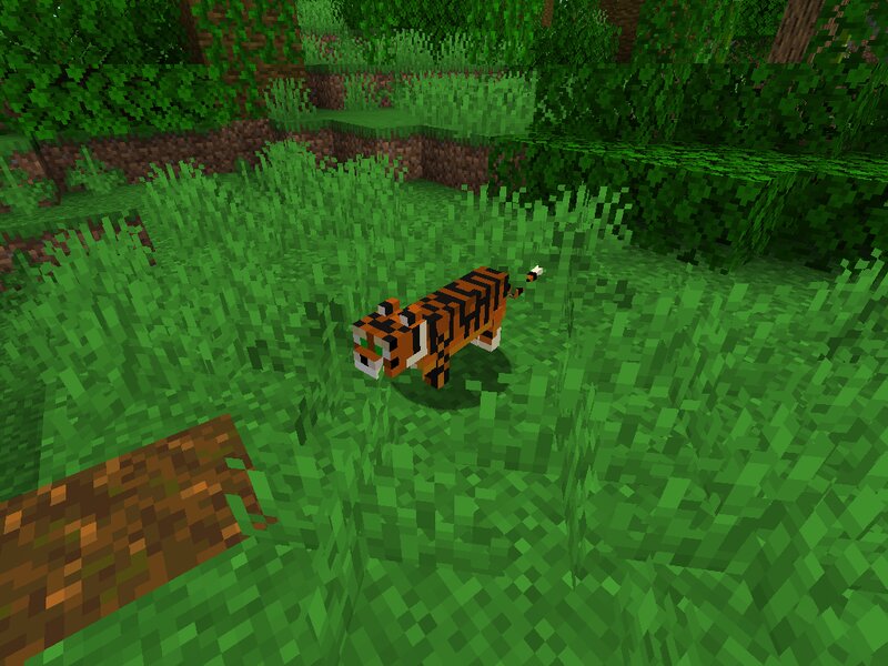 Felinos 1.16.5 Minecraft Mod