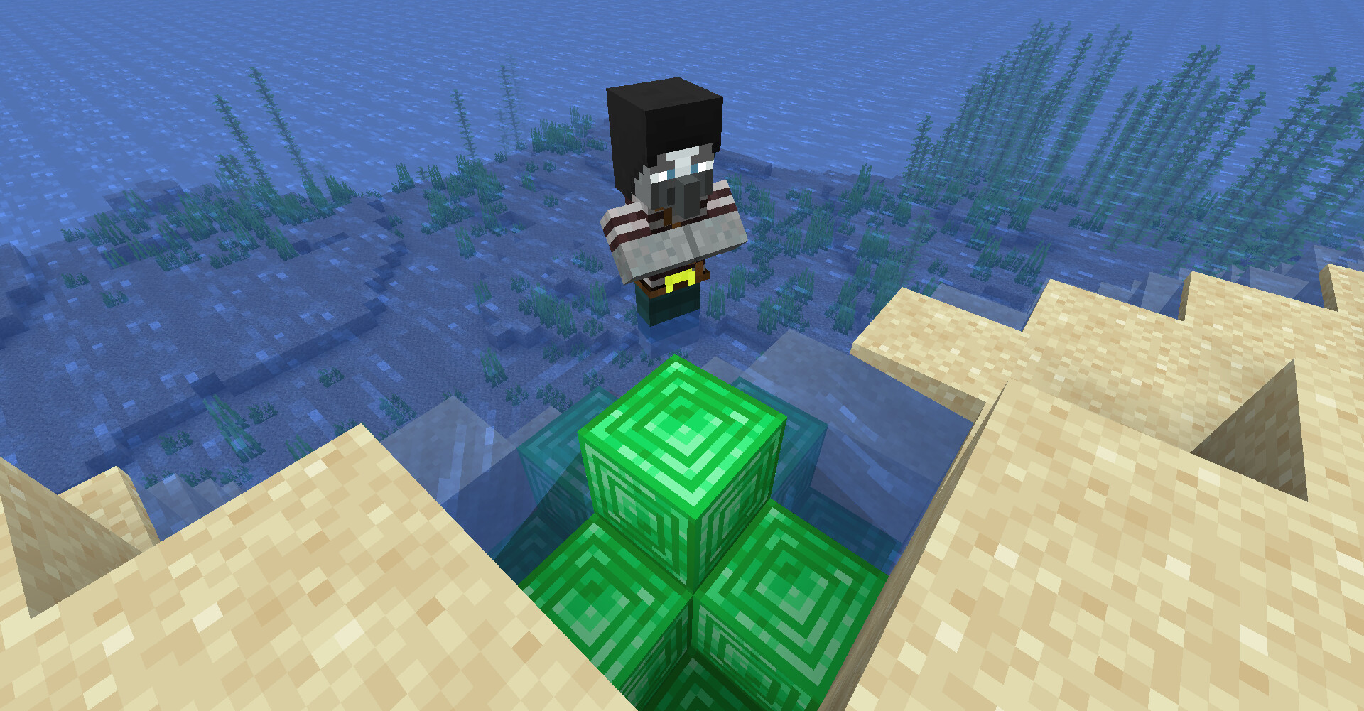 Pirates And Ninja - Minecraft Mod 1.17.1 Minecraft Mod