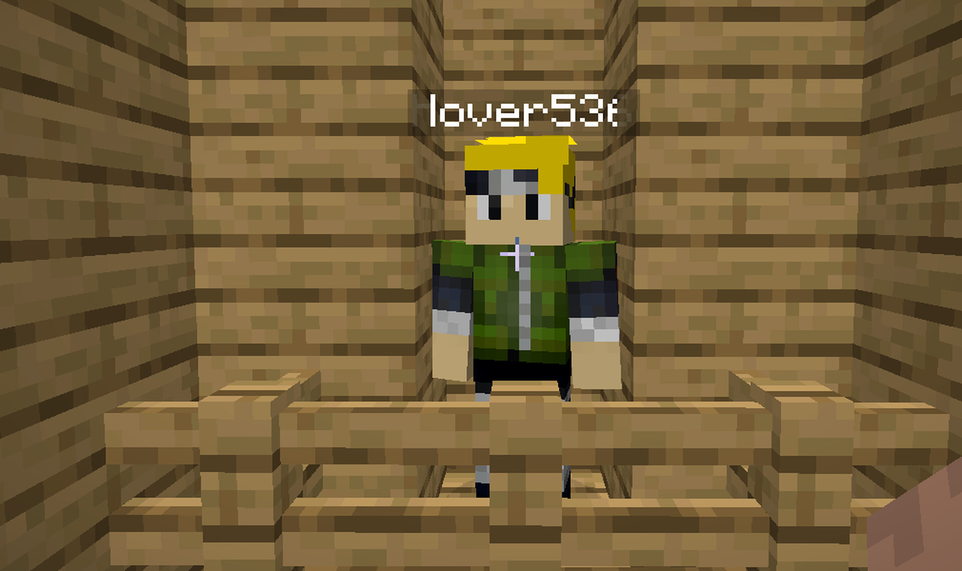 Hover Mod ( 1.17.1) Minecraft Mod