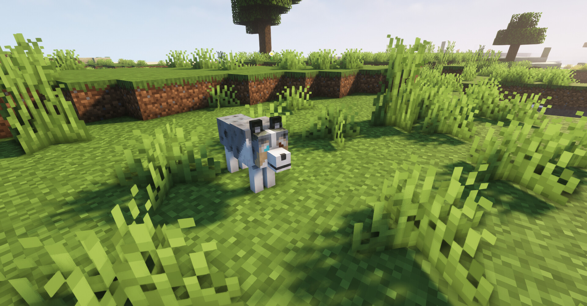 Dog Breed Bonanza Minecraft Mod