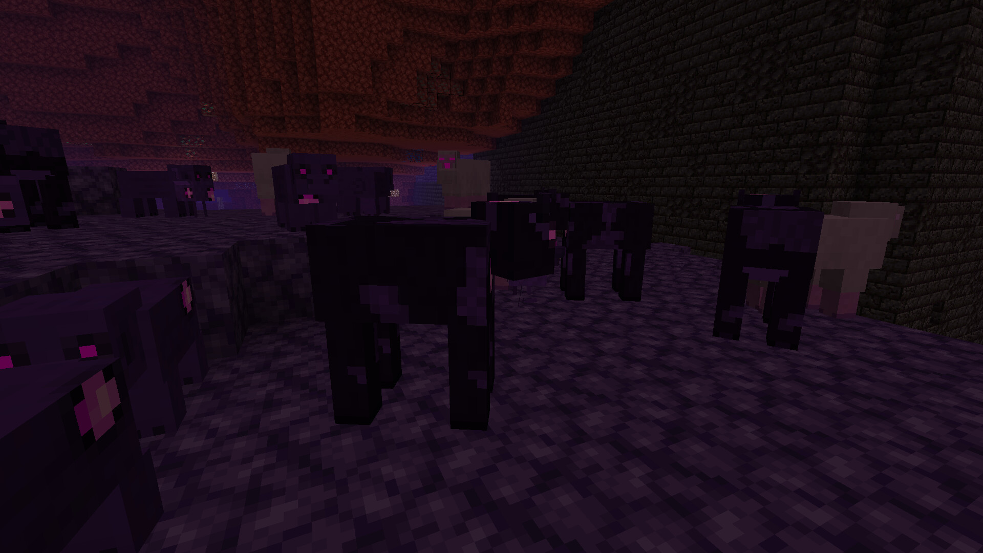 Nether Update Plus Minecraft Mod
