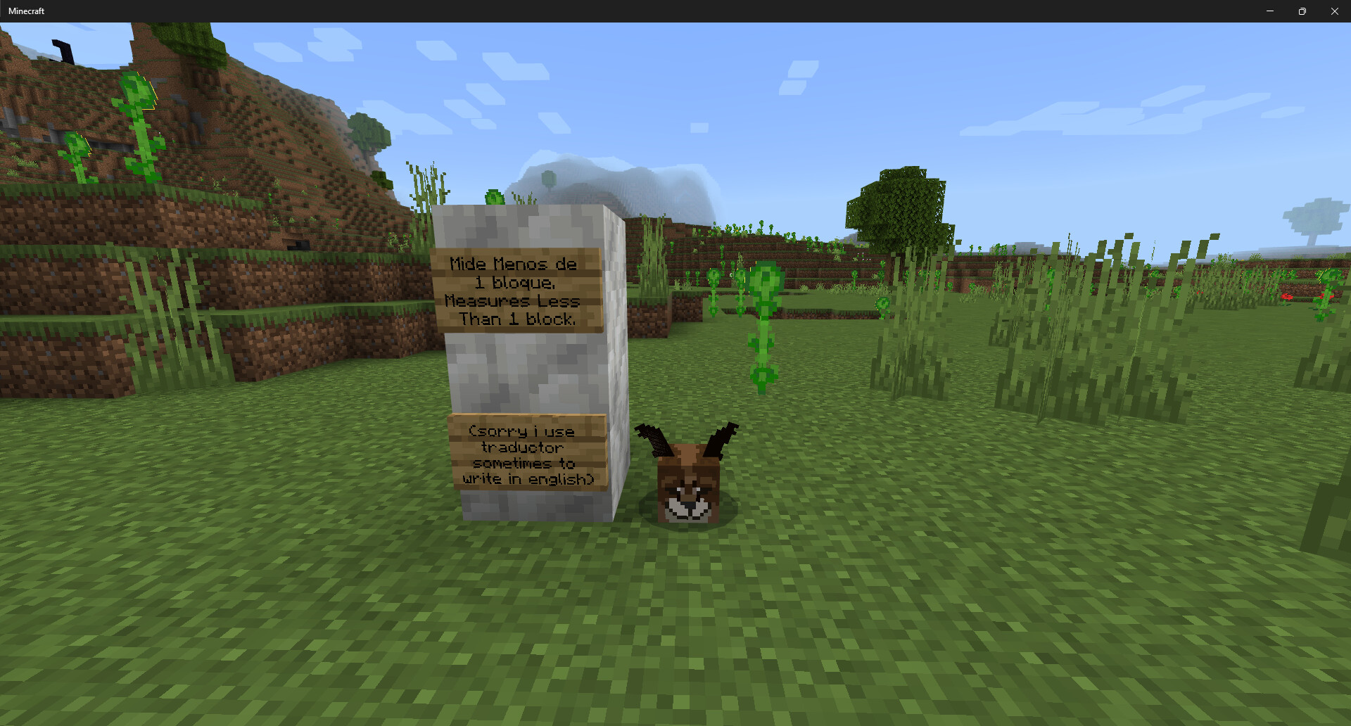 Floppa Add On for MCBE & MCPE Minecraft Mod