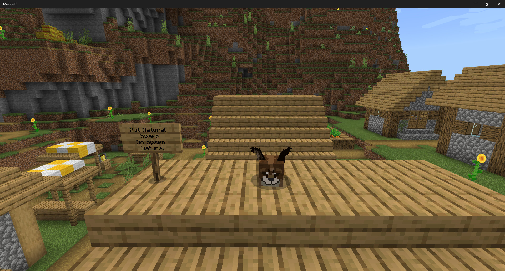 Floppa Add On for MCBE & MCPE Minecraft Mod