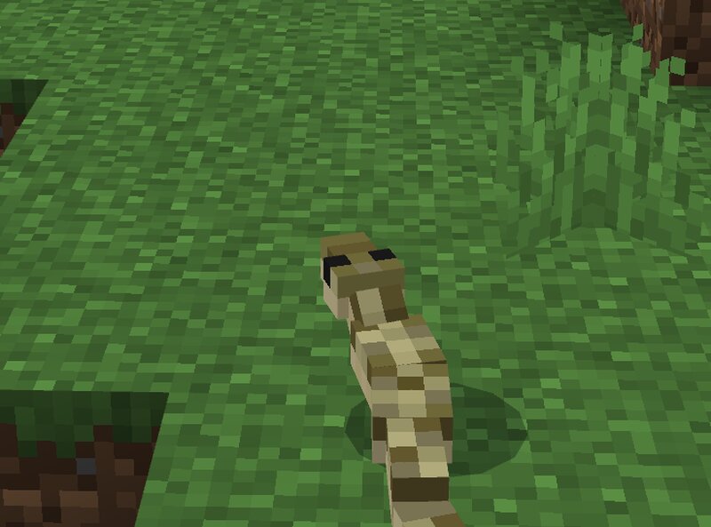 Levi's Snakes (Bedrock addon) Minecraft Mod