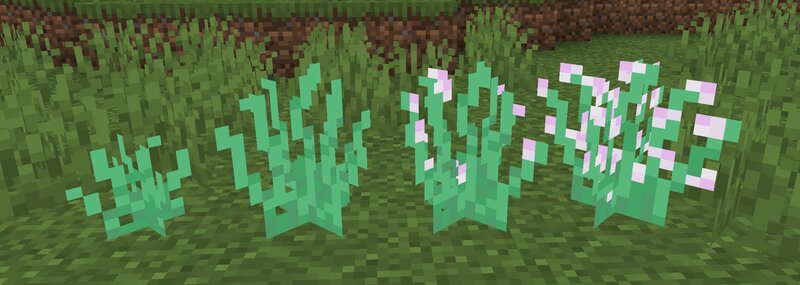 Cats Expanded Minecraft Mod