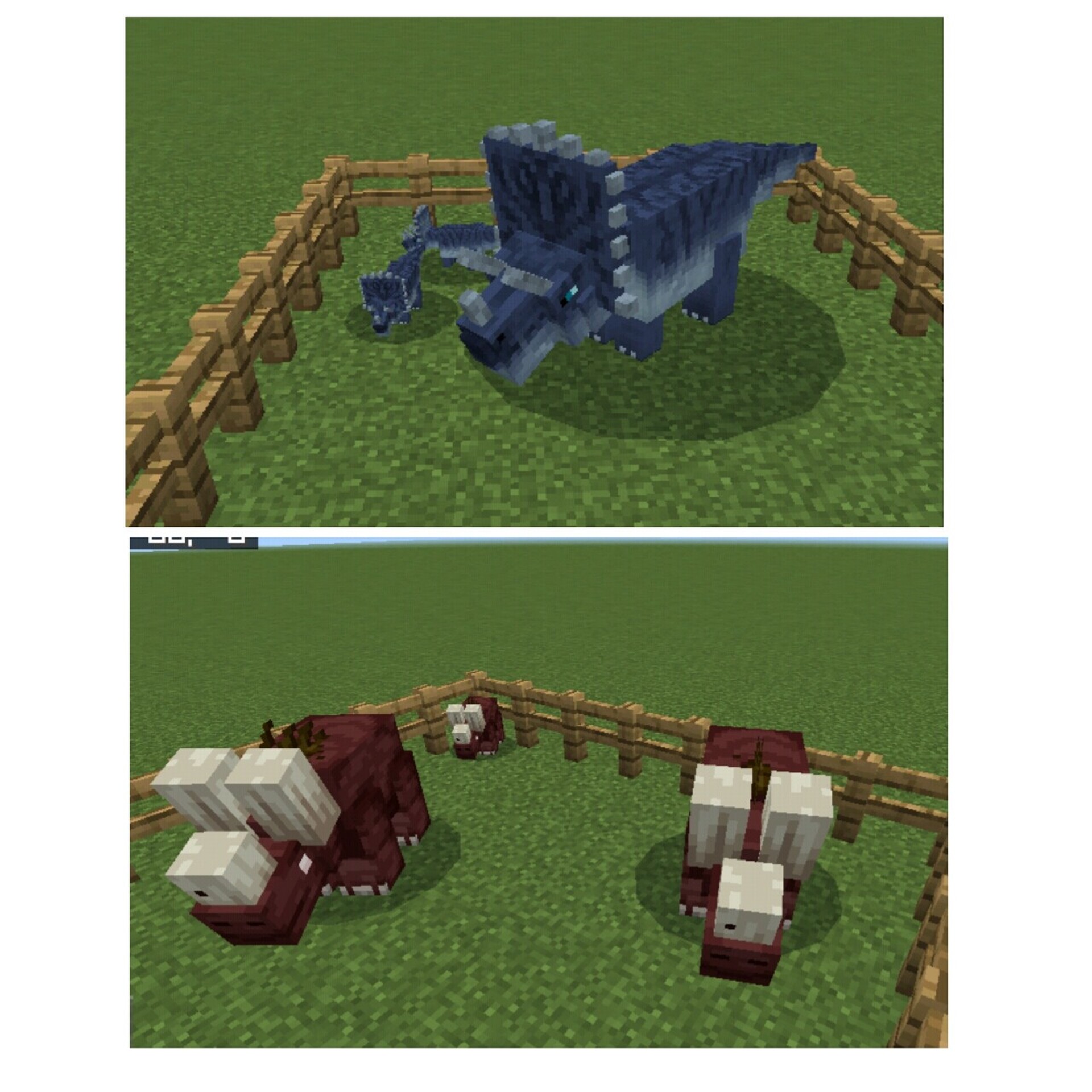 Dino add-on by Darkmazeblox[bedrock edition]. Minecraft Mod